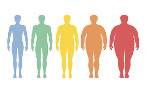 Biotipo corporal: saiba o que é e qual é o seu! - Doutor Esportista